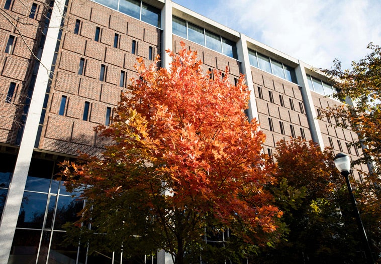 Van Pelt-Dietrich Library Center | Penn Libraries