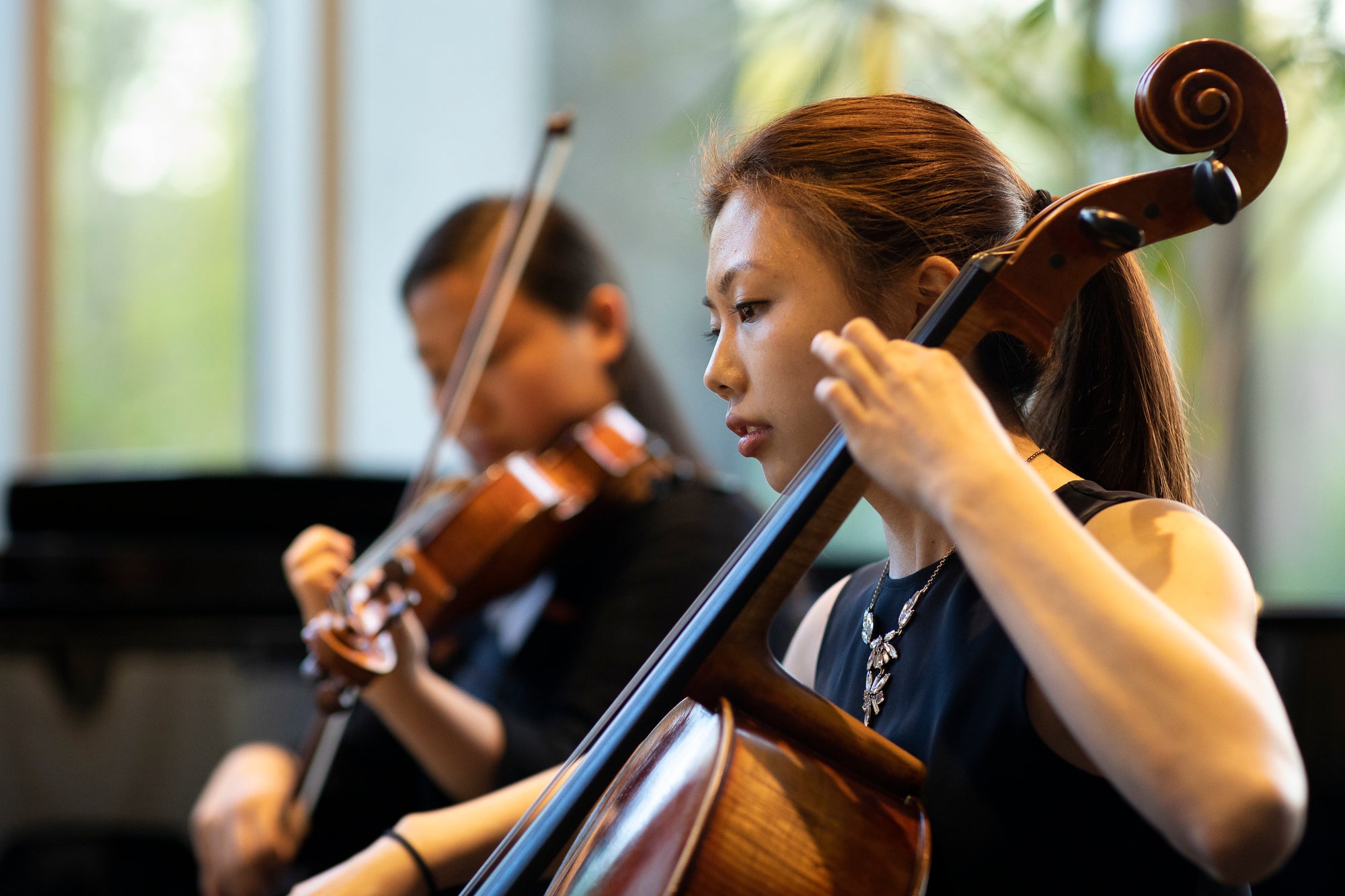 Music in the Stacks | Penn Libraries