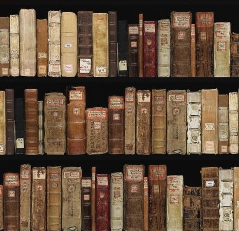 Rare Book School 2025 Livestreamed Lectures | Penn Libraries