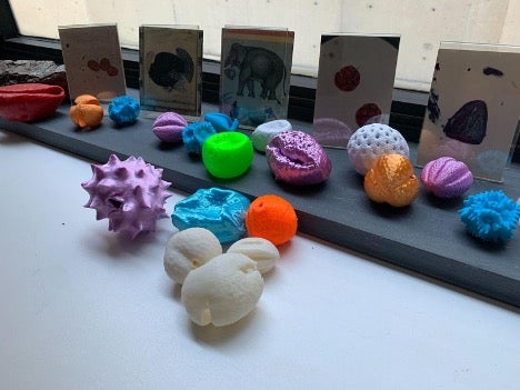 Featured 3D Print: 3D Pollen Project | Penn Libraries
