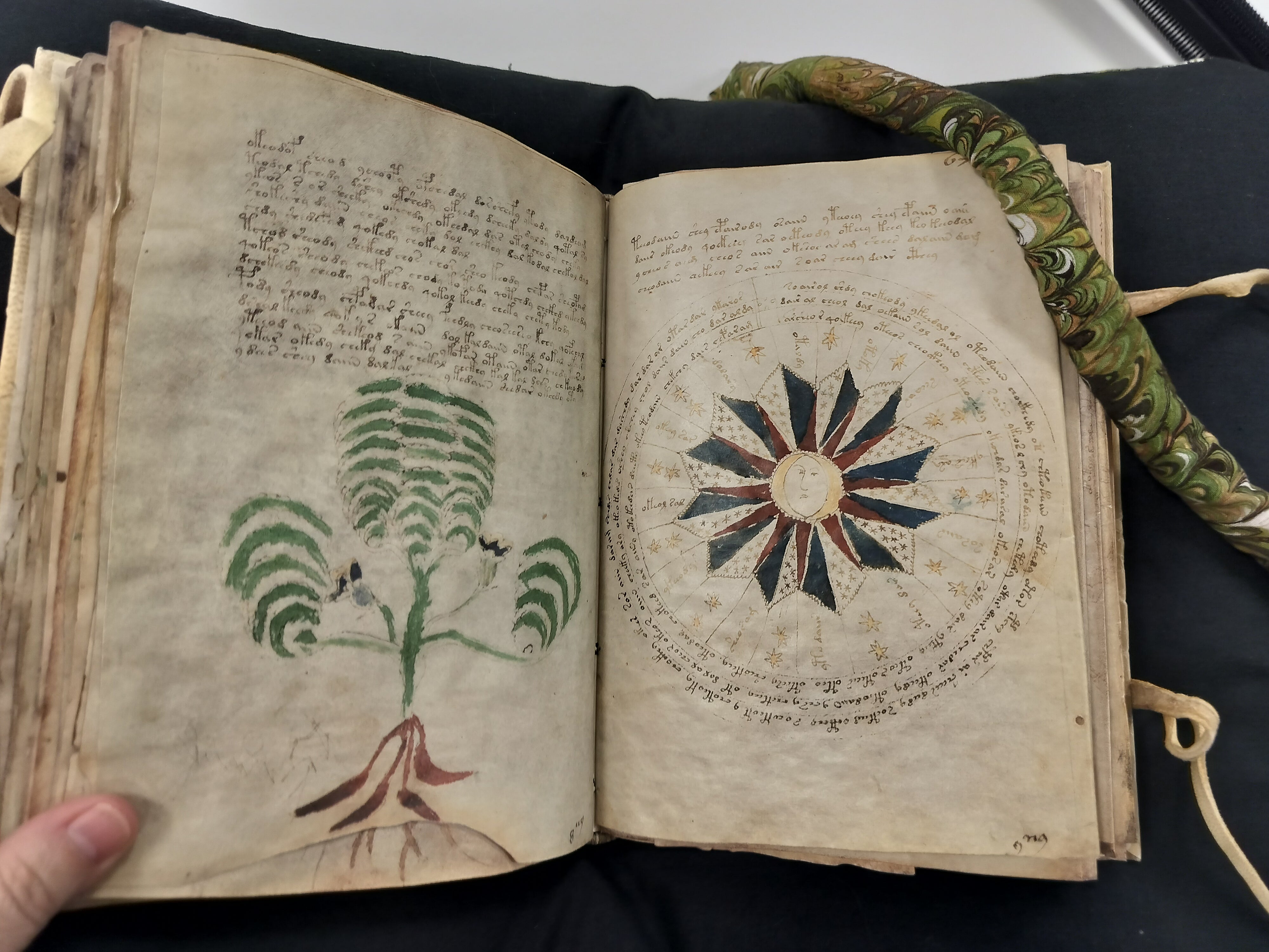 Coffee with a Codex: The Voynich Manuscript (Facsimile) | Penn Libraries